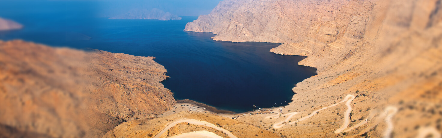 Presale service - Caprari