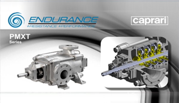 NEW HIGH PRESSURE MULTISTAGE HORIZONTAL PUMPS PMXT ENDURANCE - Caprari