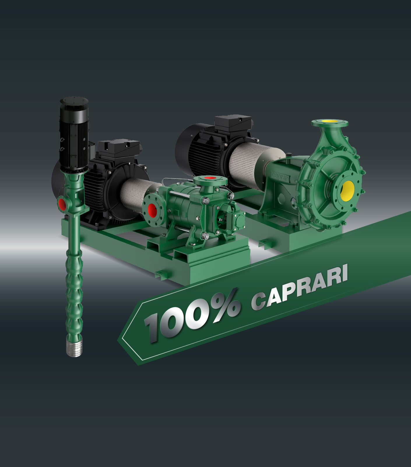 New 100% Caprari electric motors - Caprari